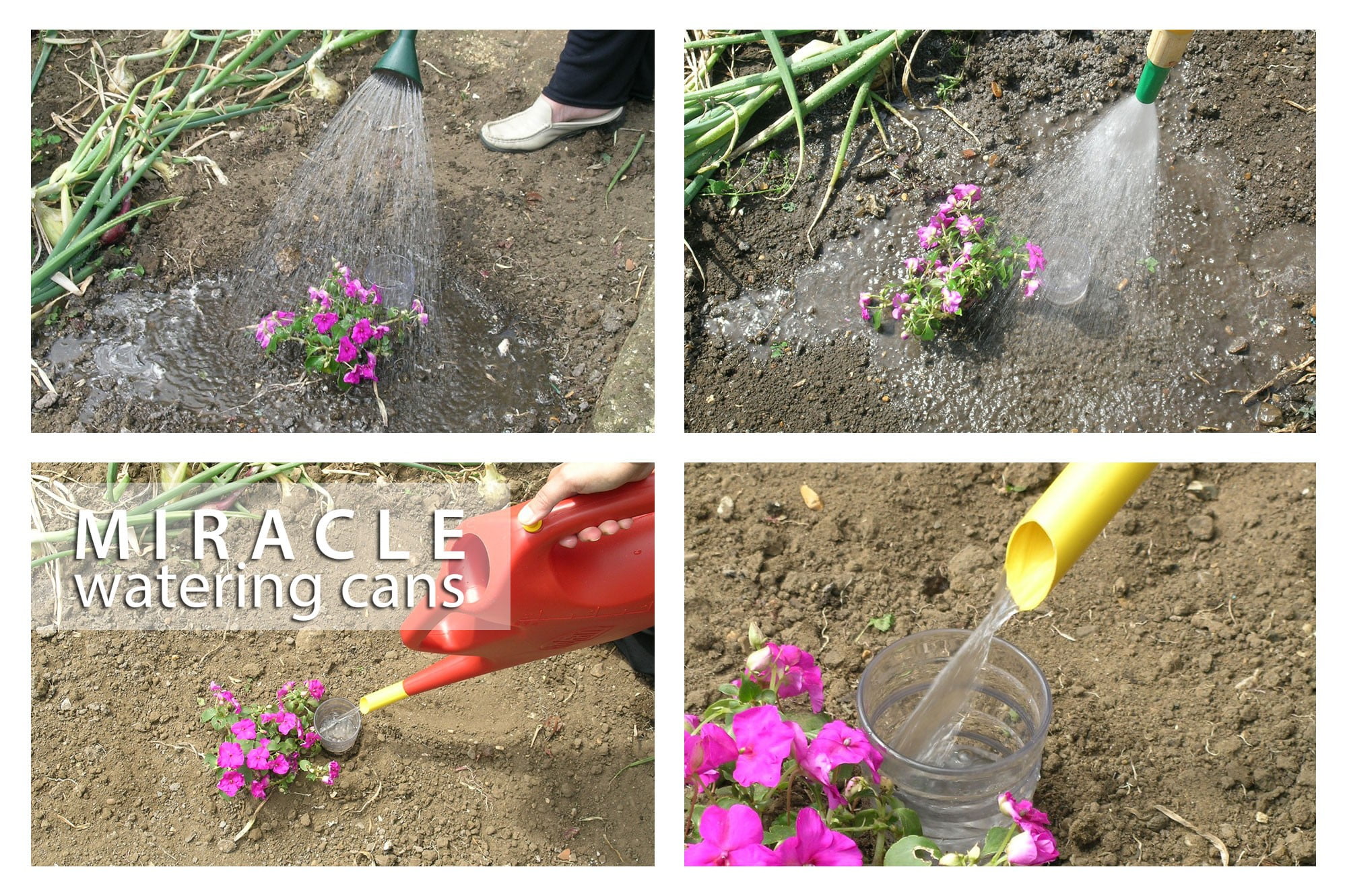 Precision of the Miracle Watering Can - NuCan & Pinpoint watering cans